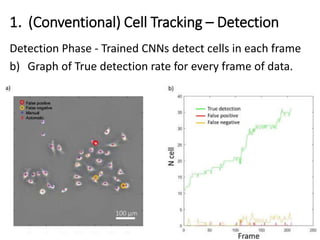 Motion and Position Map in Cell Tracking for Bioimaging | PPTX