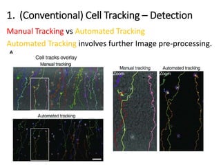 Motion and Position Map in Cell Tracking for Bioimaging | PPTX