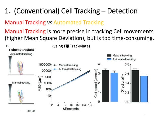 Motion and Position Map in Cell Tracking for Bioimaging | PPTX
