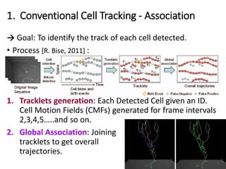 Motion and Position Map in Cell Tracking for Bioimaging | PPTX