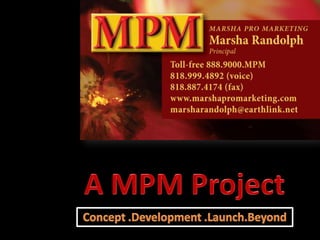 MPM Project - Concept Development Launch | PDF
