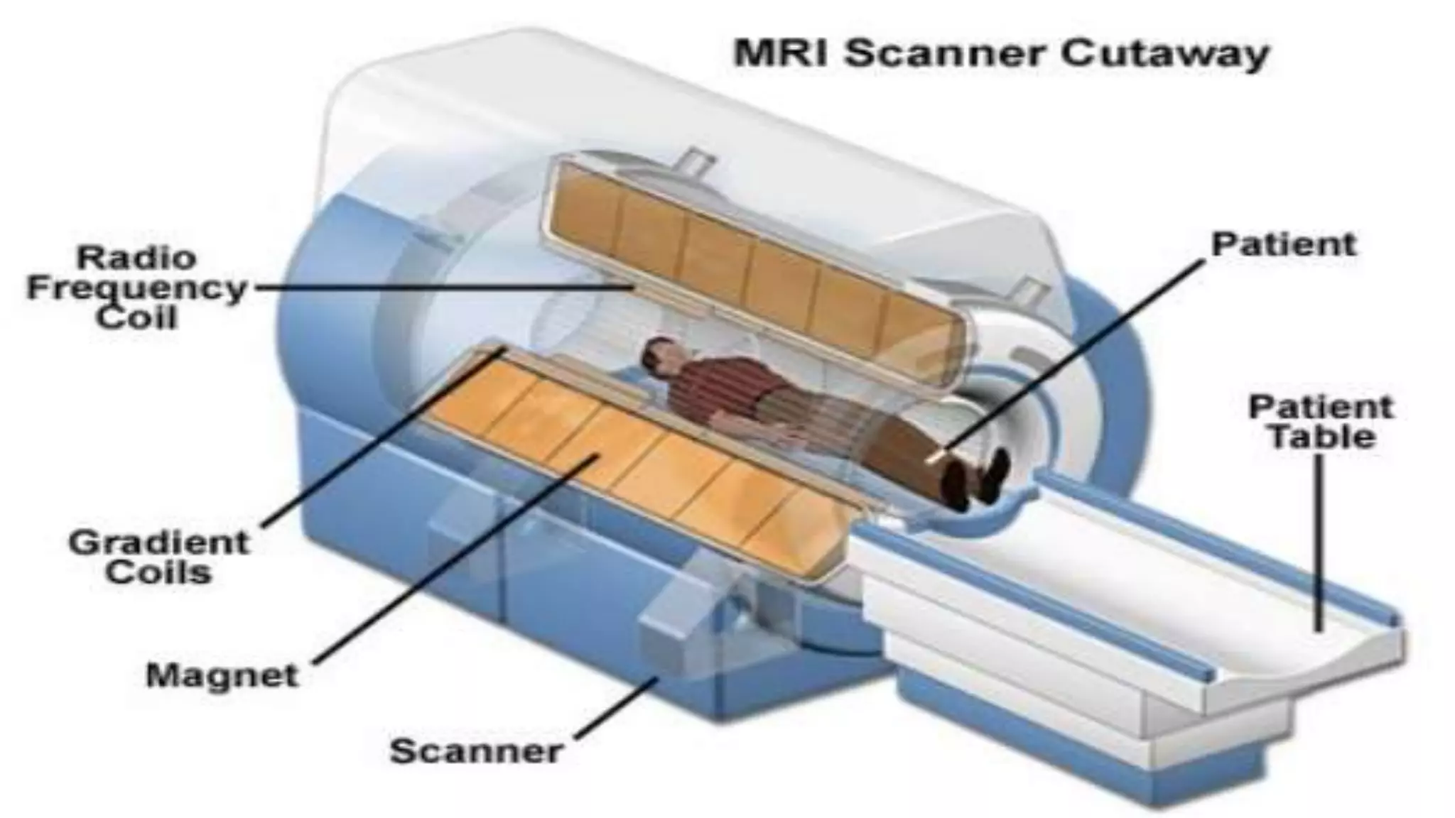Mp mri seminar uro | PPT