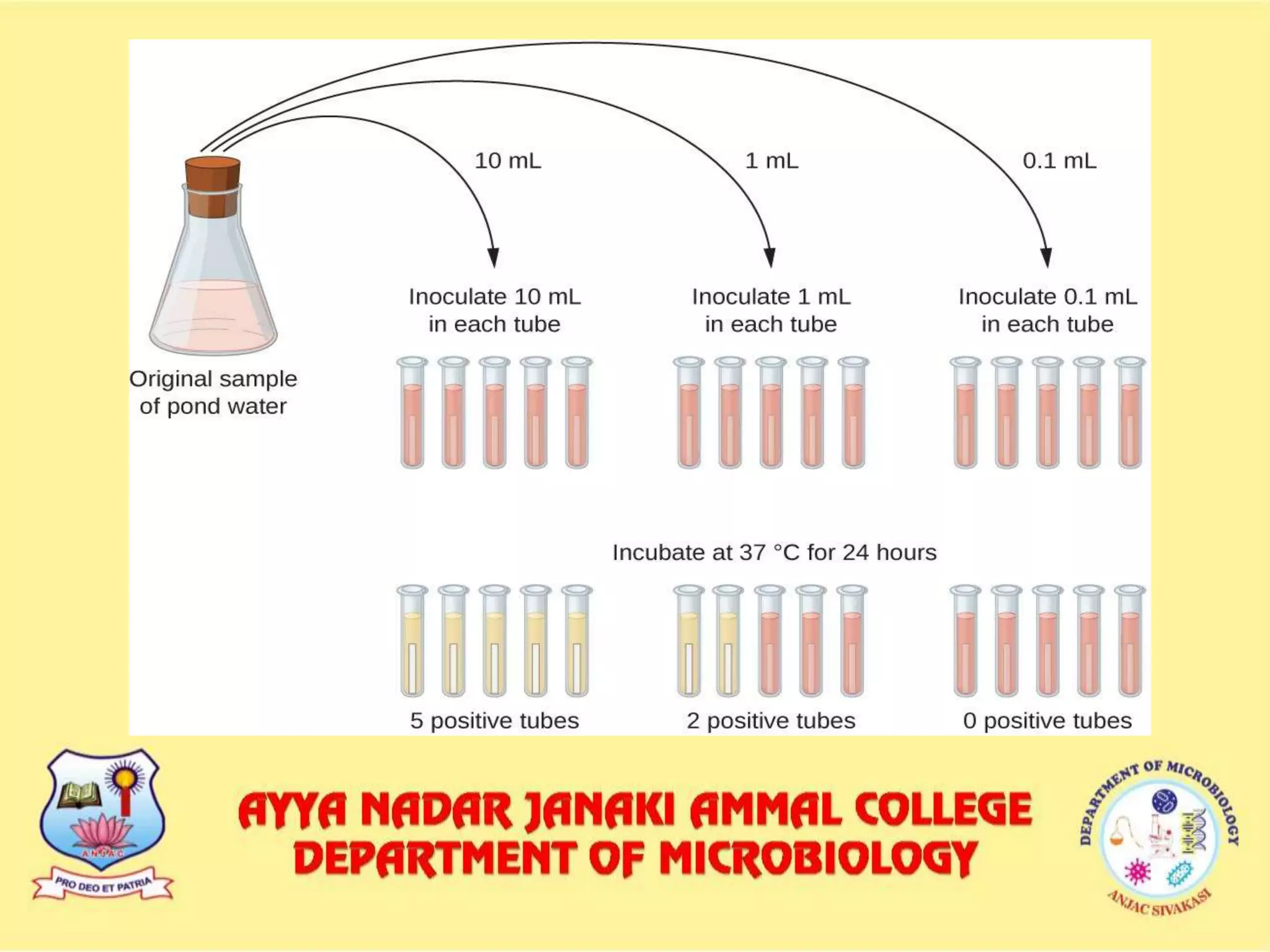 Most probable number or multiple tube fermentation technique | PPTX