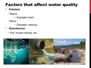 MPN and estimating coliforms for water quality assessment(2) (1).ppt