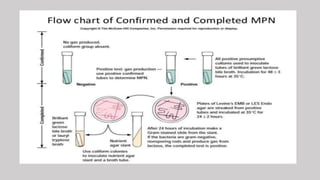 MPN AND INDIRECT METHODS OF MEASUREMENT OF MICROBIAL GROWTH | PPTX