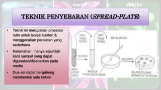 Mikrobiologi dan Toksikologi Hasper | PPTX