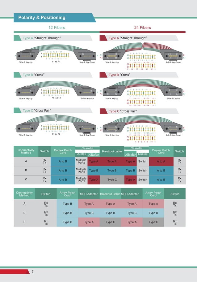 Mpo mtp multi-fiber cable assemblies | PDF