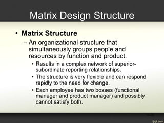 Organizational Structure and Design | PPTX
