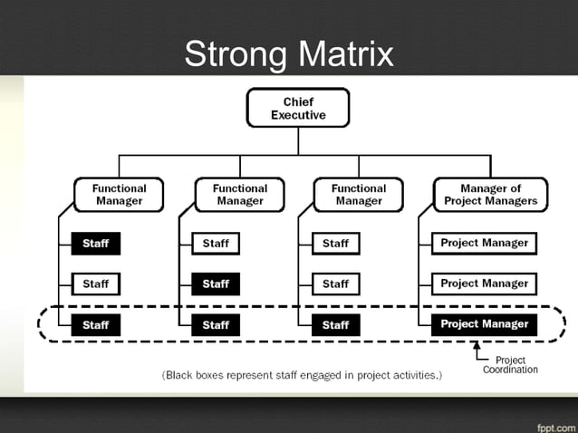 Organizational Structure and Design