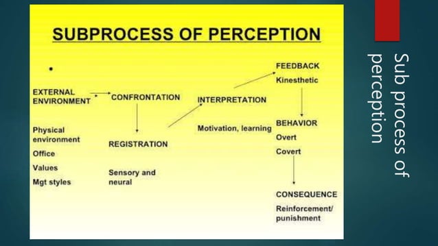 PERCEPTION IN ORGANISATIONAL BEHAVIOUR | PPT