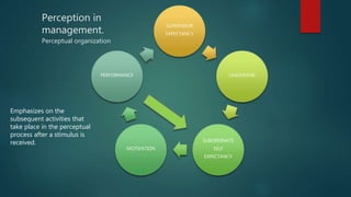 PERCEPTION IN ORGANISATIONAL BEHAVIOUR | PPTX