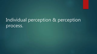 PERCEPTION IN ORGANISATIONAL BEHAVIOUR | PPTX