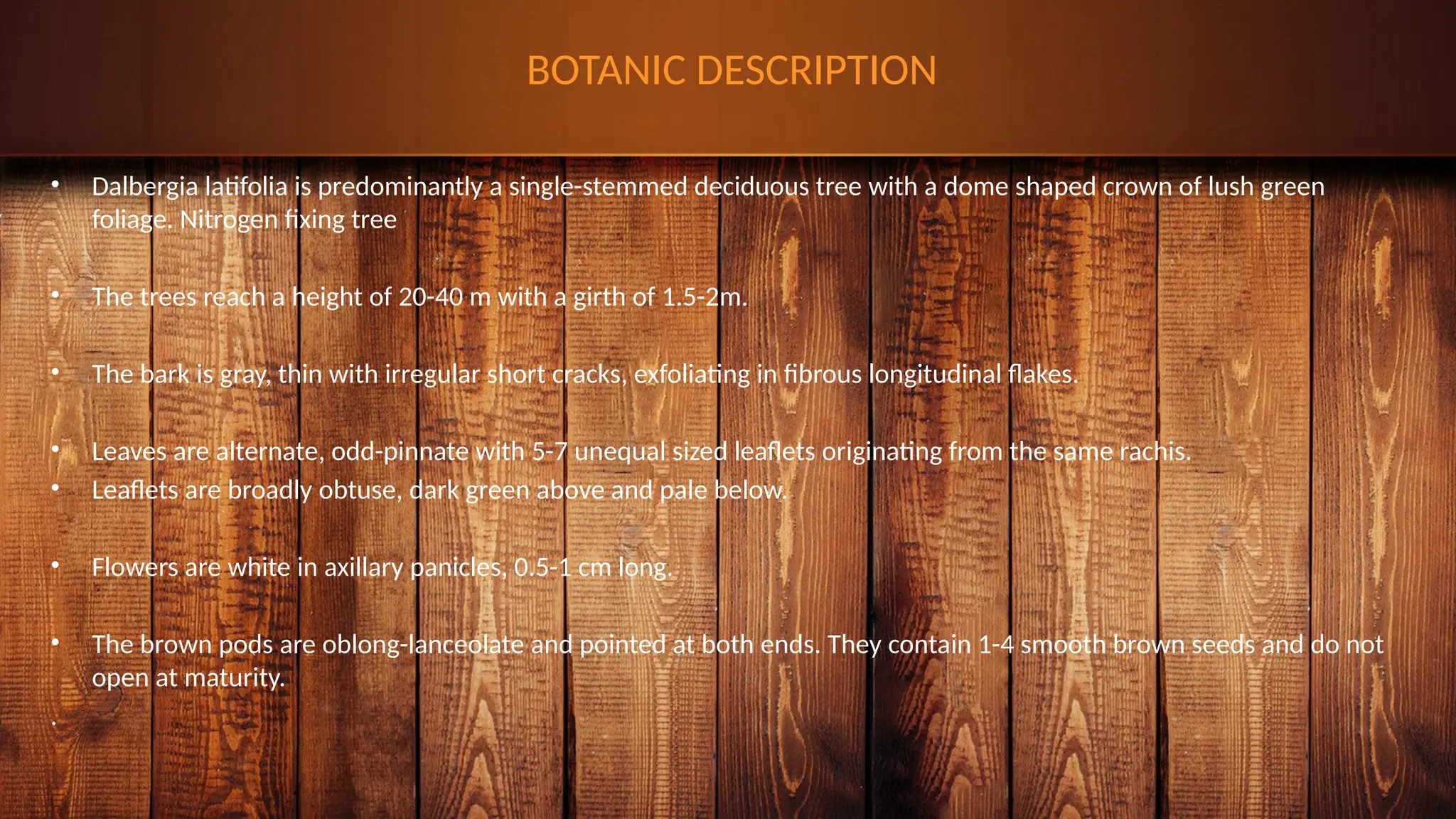 M Poornima asssignment silviculture of indian trees.pptx