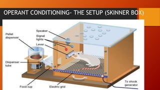 Mpo presentation theories of learning | PPT
