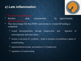 introduction to wound healing orthopaedics | PPTX