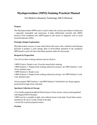 Myeloperoxidase (MPO) Staining Practical Manual for Medical Laboratory ...