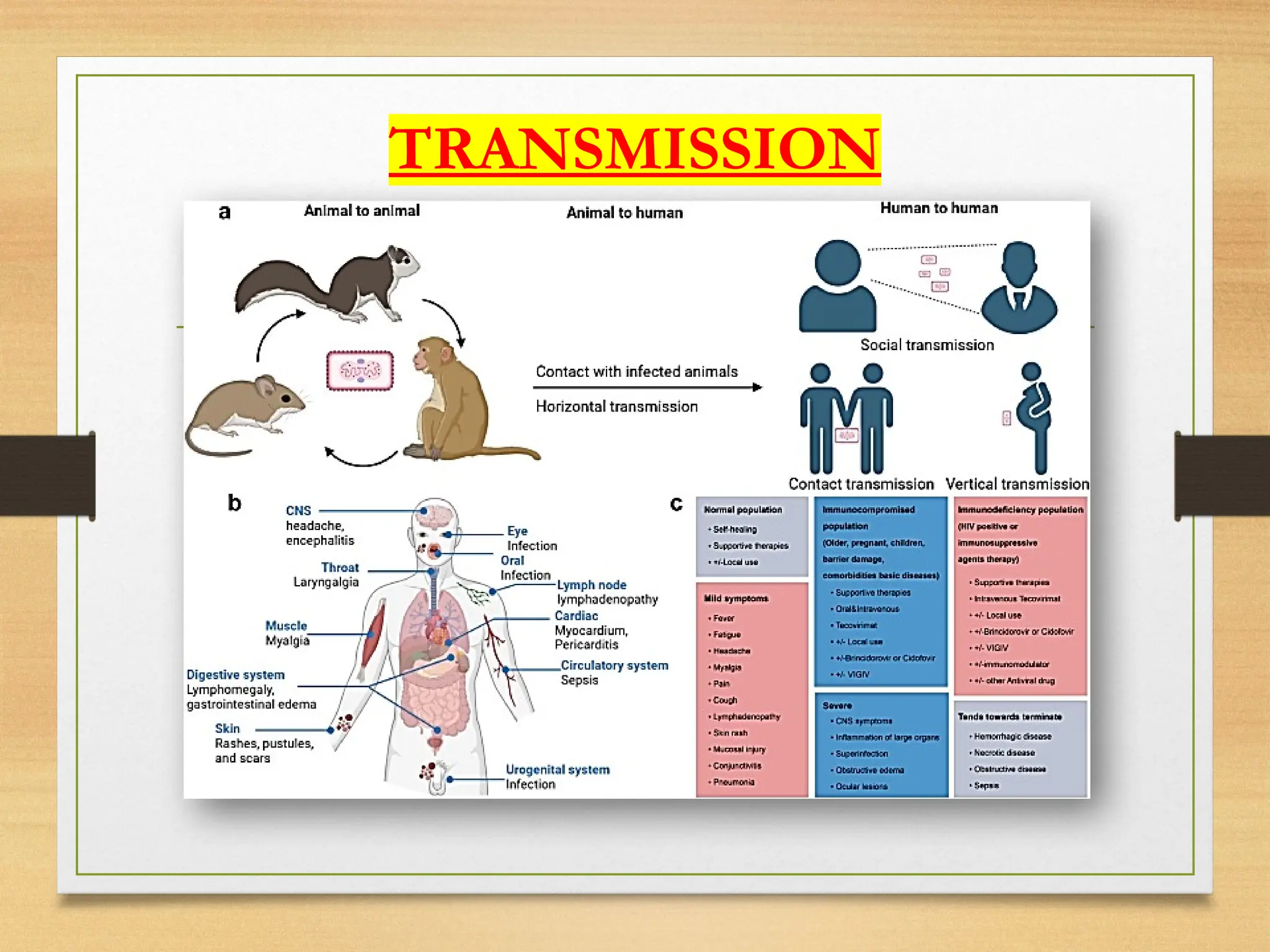 MPOX power point presentation for basic to advance.pptx