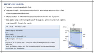 mpr-SDS PAGE and other advanced techniques.pptx