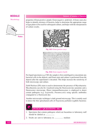 BACTERIA ISOLATION | PDF