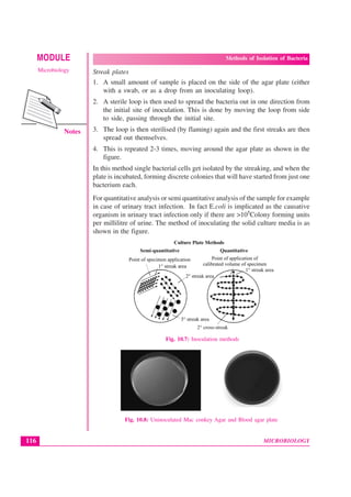 BACTERIA ISOLATION | PDF