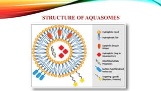 Niosomes, Aquasomes, Phytosomes,electrosomes Molecular pharmaceutics ...