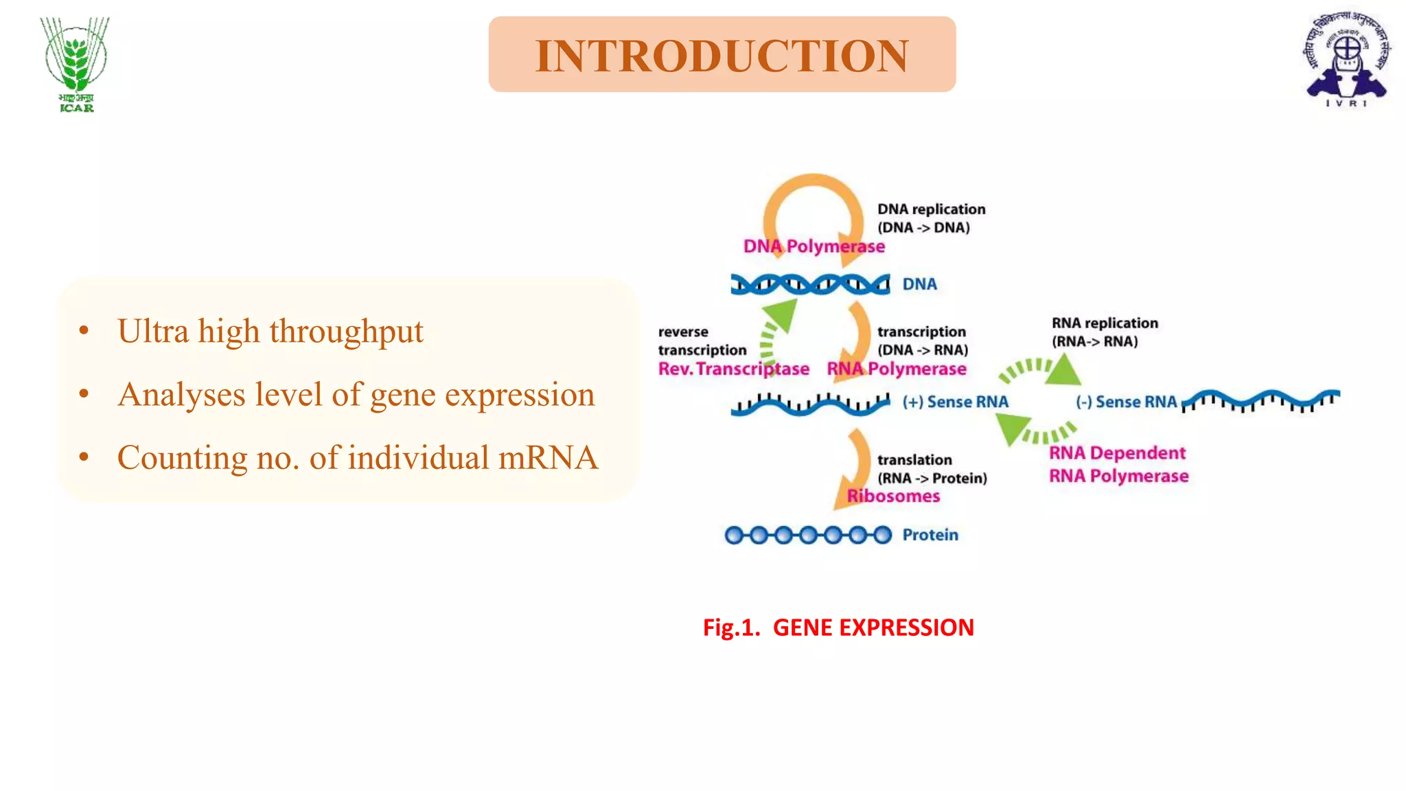 MPSS.pptx | Genetics | Science