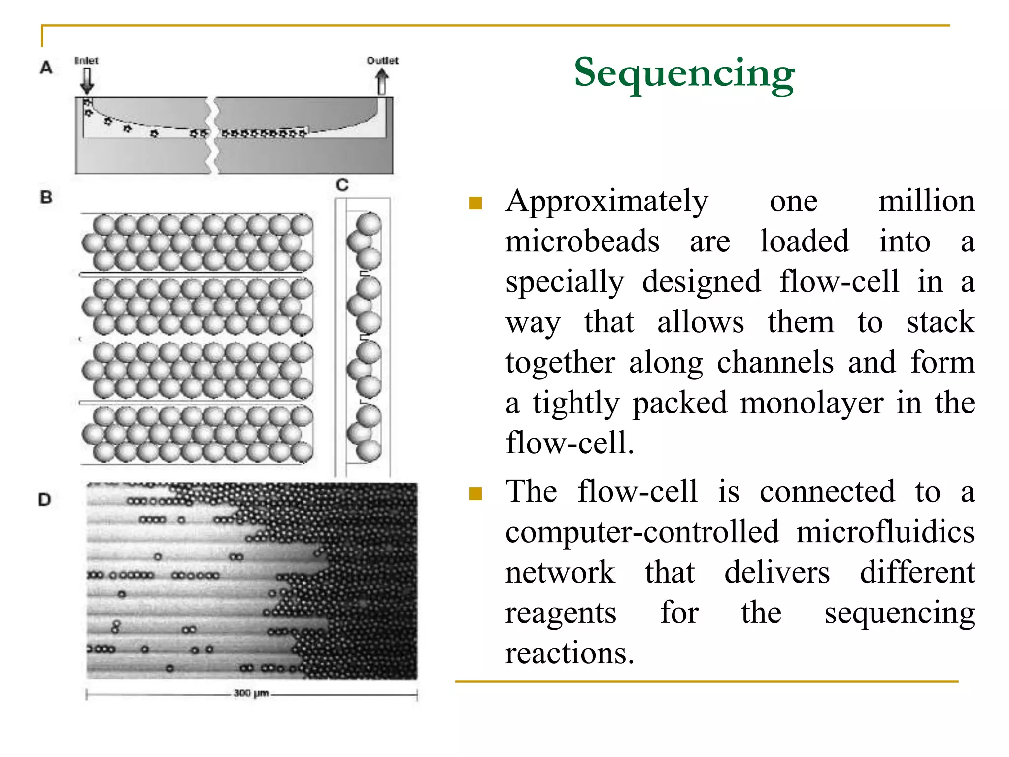 MASSIVELY PARELLEL SIGNATURE SEQUENCING | PPTX