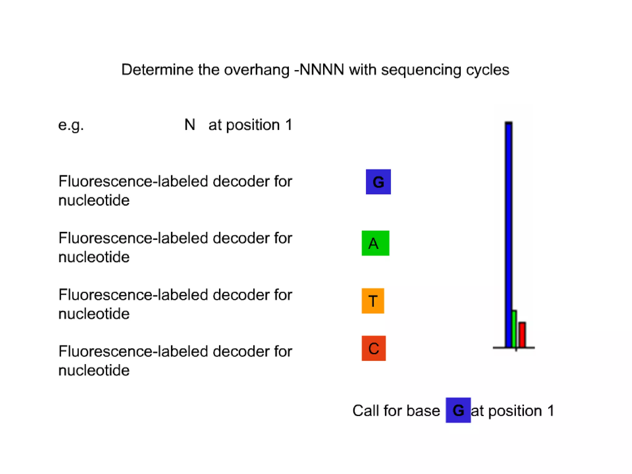 MASSIVELY PARELLEL SIGNATURE SEQUENCING | PPTX