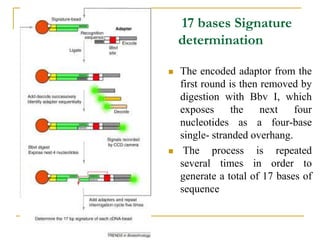 MASSIVELY PARELLEL SIGNATURE SEQUENCING | PPTX