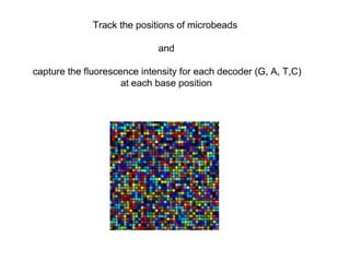 MASSIVELY PARELLEL SIGNATURE SEQUENCING | PPTX