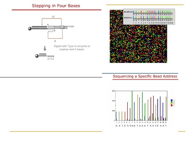 MASSIVELY PARELLEL SIGNATURE SEQUENCING | PPTX