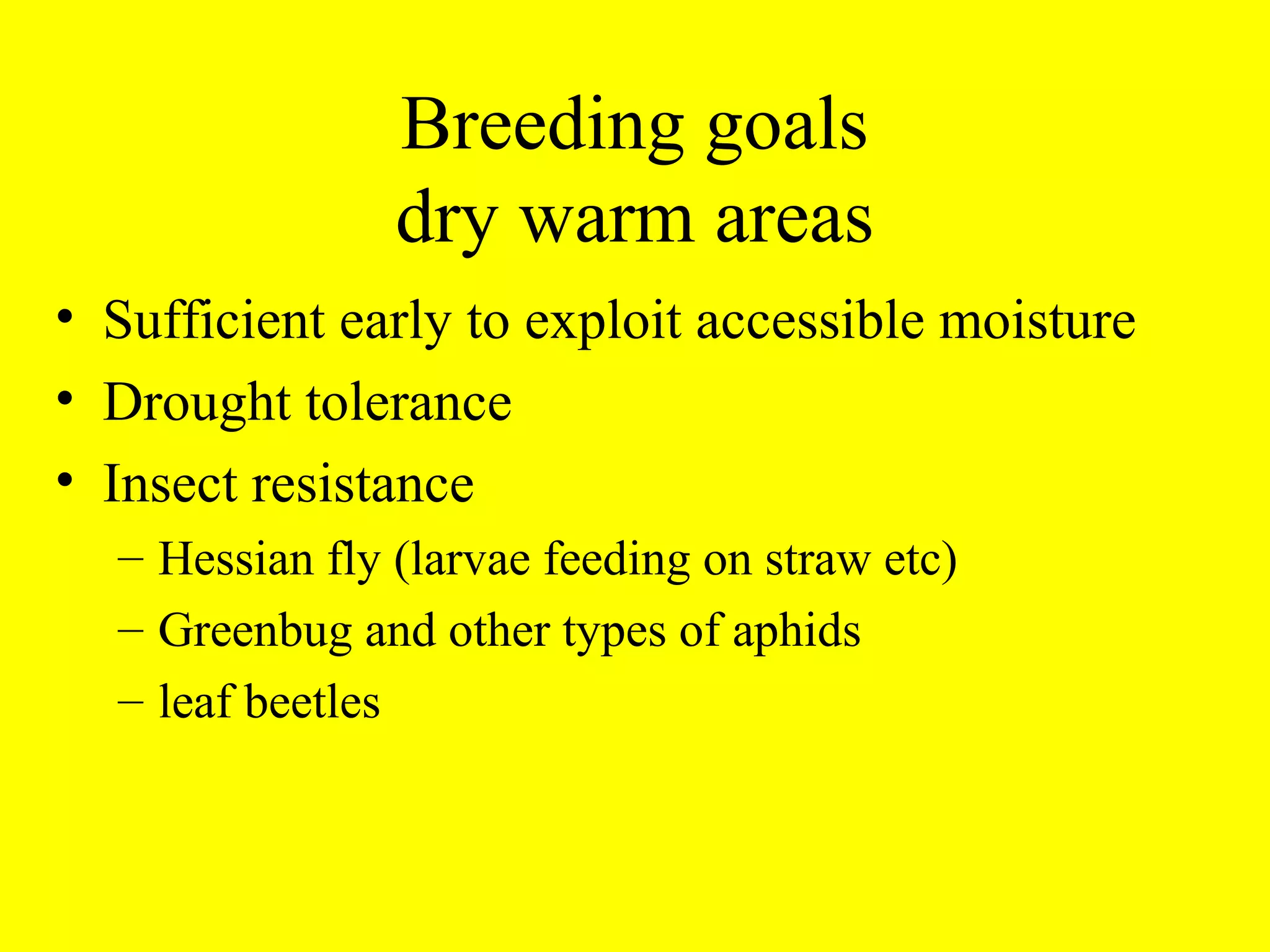 Mpt 13 wheat breeding | PPT