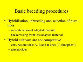 Mpt 13 wheat breeding | PPT