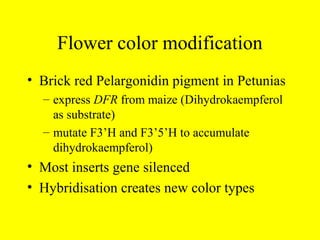 Mpt 14 ornamental breeding | PPT