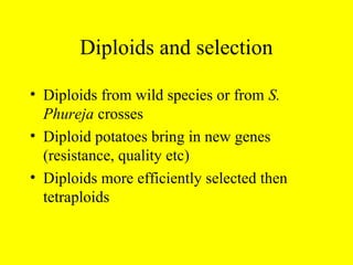 Mpt 16 potato breeding | PPT