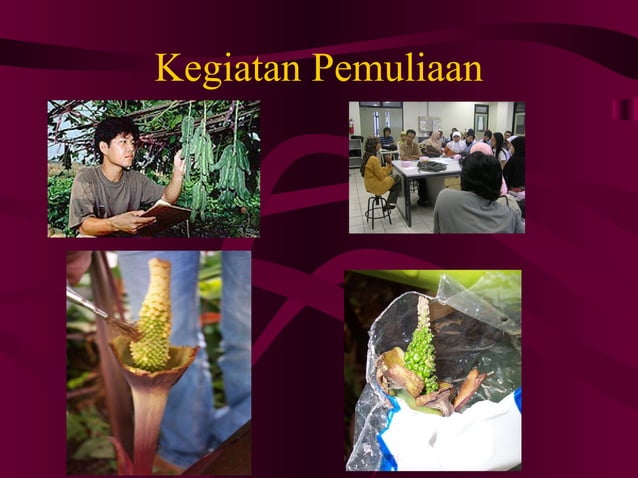 Mpt 1 kontrak belajar | PPT