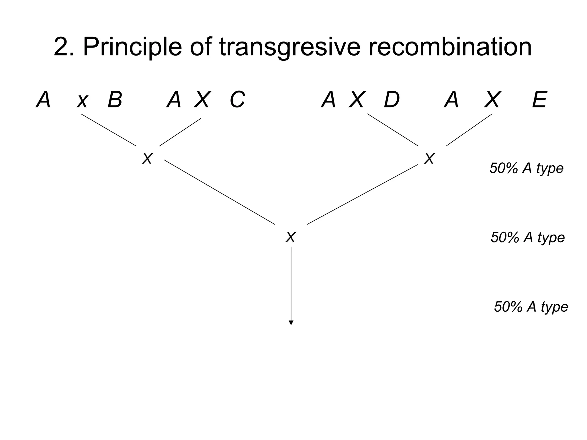 Mpt 3 importance of crossing methods | PPT