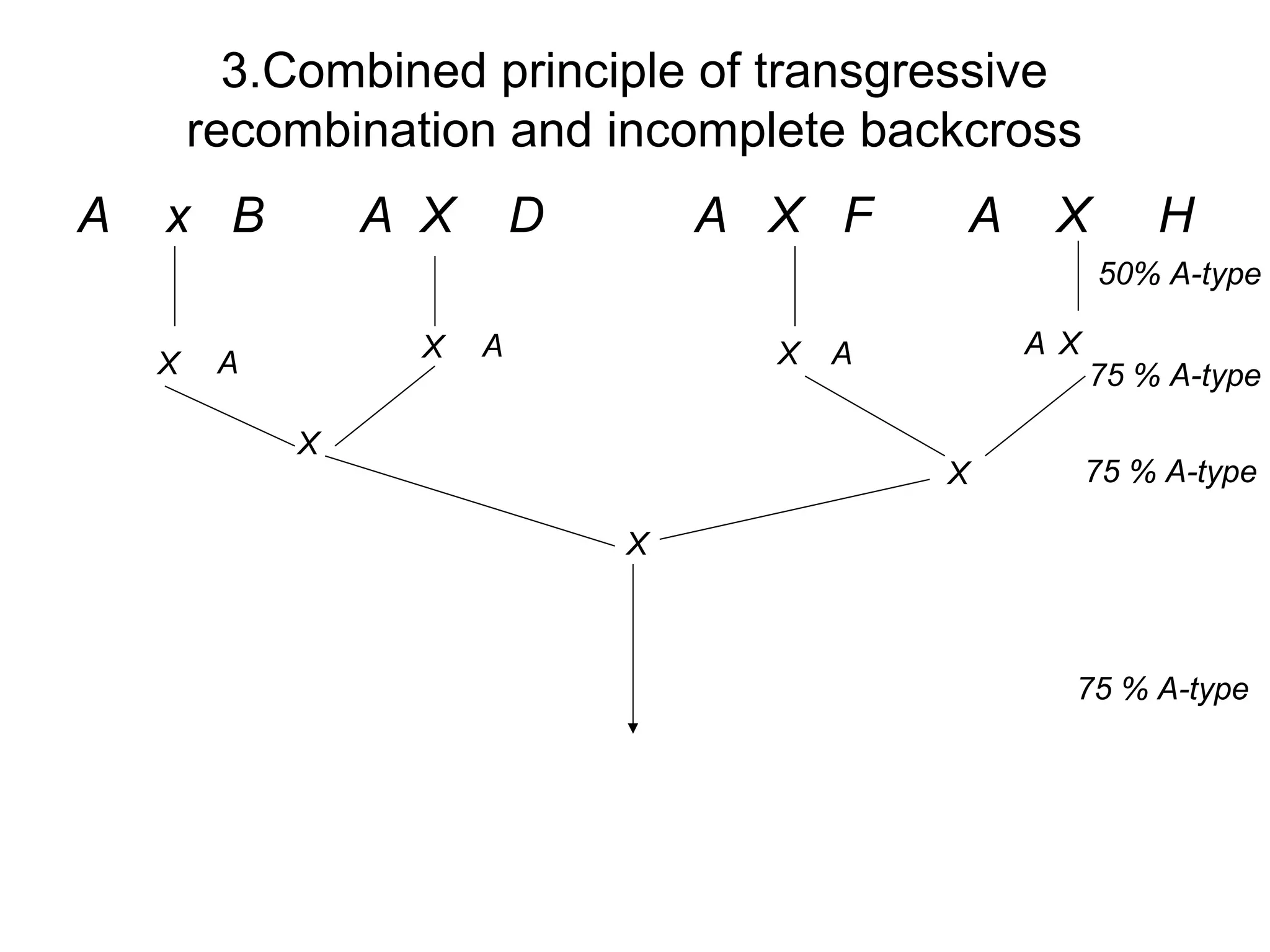 Mpt 3 importance of crossing methods | PPT