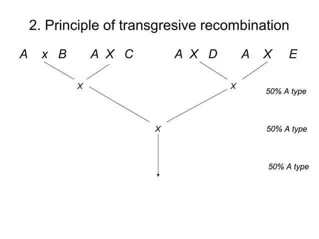 Mpt 3 importance of crossing methods | PPT