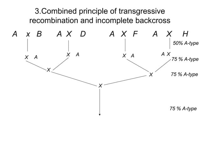 Mpt 3 importance of crossing methods | PPT