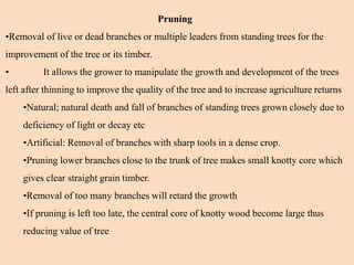 MPTs Multipurpose trees.pptx