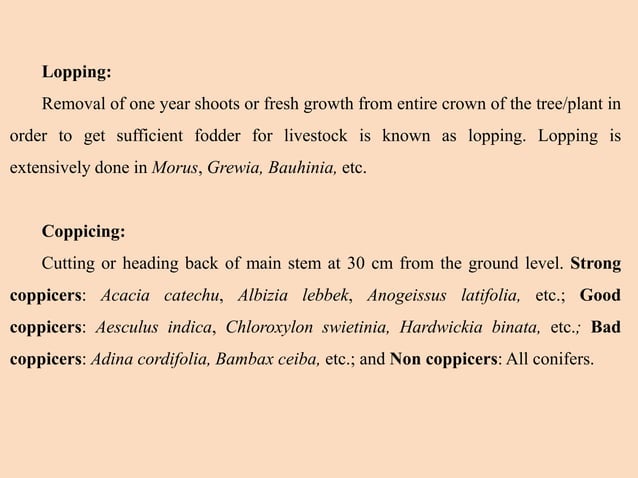MPTs Multipurpose trees.pptx