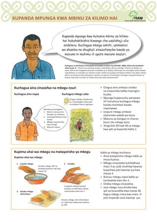 Mpunga rice-swahili_ | PDF