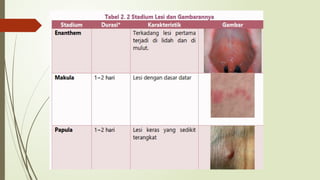 MONKEY POX VIRUS (MPX) ATAU CACAR MONYET | PPTX