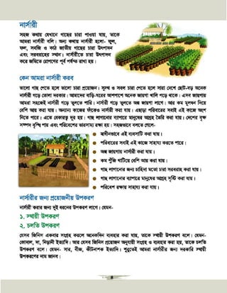 Nursery booklet- নার্সারী | PDF