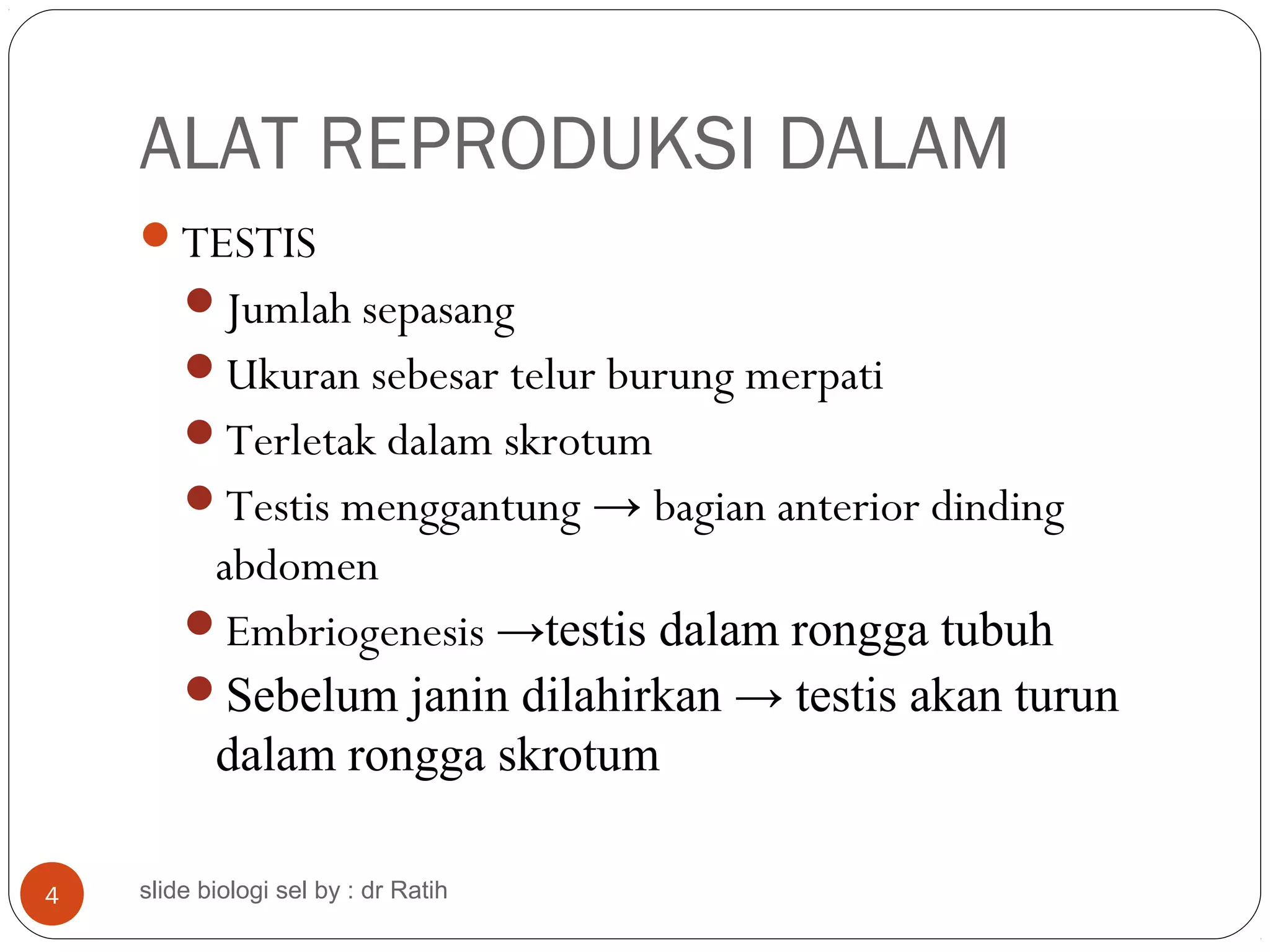Sistem reproduksi pria (wurita, rischa) | PPT