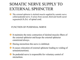 Micturition (2) | PPTX