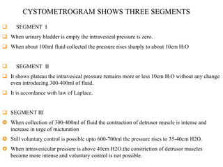 Micturition (2) | PPTX