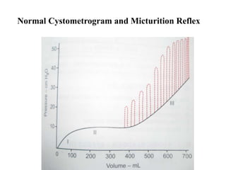 Micturition (2) | PPTX