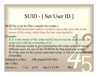 Sticky bit suid sgid | PDF | Operating Systems | Computer Software and ...